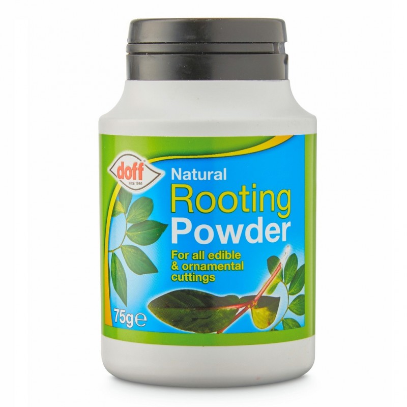 Doff Natural Plant Root Rooting Powder 75g F-KE-075-DFF | Sealants and ...