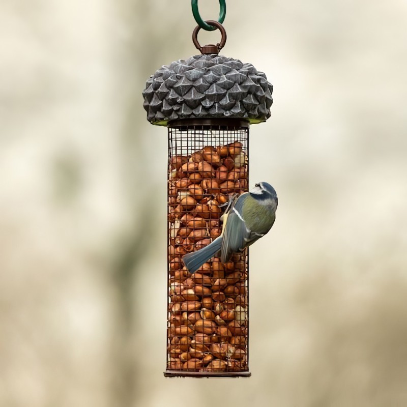 Natures Market Wild Bird Acorn Food Nut Feeder BFACORNN | Sealants and ...